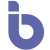 BSocial BINS logo