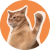 CatSlap SLAP logo