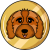 Cavapoo CAVA logo