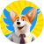 CORGI CEO CORGICEO logo