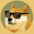 Doge 2.0 DOGE2.0 logo