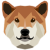 DogeCash DOGEC logo