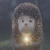 Hedgehog in the fog HIF logo