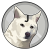 Jindoge JINDOGE logo