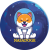 Nasa Doge NASADOGE logo