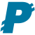 PayNet Coin PAYN logo