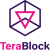 TeraBlock TBC logo