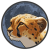 Token Cheetah CHTT logo