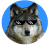 Wolfecoin WOLFE logo