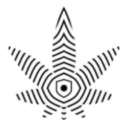 Cannumo Bridges the Worlds of Crypto and Cannabis