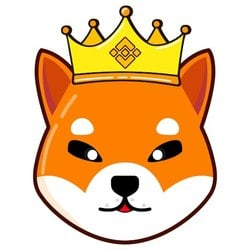 King Shiba Coin Nereden Alınır? King Shiba Nedir?