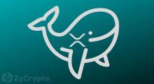 Ripple CTO David Schwartz Is An XRP Whale. Here’s How Much He Owns