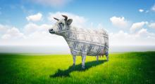 Wo Sie CashCow Finance kaufen können: CCF verzeichnet 150 % Tagesgewinn