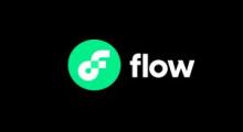 Flow Coin Nedir?