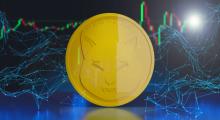 Meme-Coins verlieren 3,5 %, DOGE und SHIB erleiden zweistellige Verluste in einer Woche