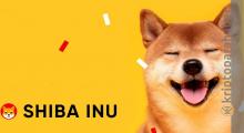 Shiba Inu yatırımcılarına müjde: 15 şirket SHIB’i listesine ekledi