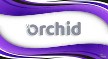 Orchid(オーキッド)、マルチチェーンに対応