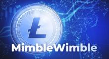 Litecoin’s Mimblewimble Upgrade Crumbles Bears! LTC Price Poised For $250k! 