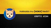 Hokkaido Inu Nedir? HOKK Coin Nasıl Alınır?