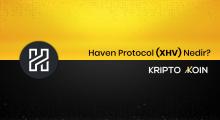 Haven Protocol Nedir? XHV Ne İşe Yarar?