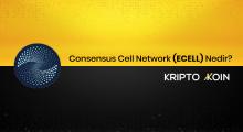 Consensus Cell Network Nedir? ECELL Ne İşe Yarar?
