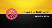 DomRaider Nedir? DRT Ne İşe Yarar?