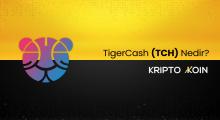 TigerCash Nedir? TCH Ne İşe Yarar?