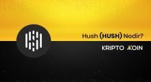 Hush Nedir? HUSH Coin Ne İşe Yarar?