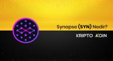 Synapse Nedir? SYN Ne İşe Yarar?