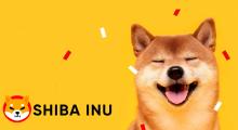 Shiba Ekosistemi Yarışa Hazır! Yatırımcılar Bu Yeni Projeye Hazır Olmalı!