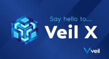 Veil Nedir? VEIL Coin Ne İşe Yarar?