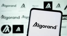 Algorand: Krypto-Börse Algodex und DeFi-Wallet MyAlgo gehackt