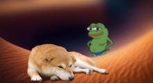 DOGE, PEPE, Cardano: Teknik İşaretler Ne Gösteriyor?