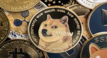 Nam Salan Analist: DOGE Hariç! Bu Altcoinler Sıfıra Gidiyor!