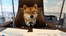 Der CEO von Dogecoin Clone Doge steigt um fast 200 %, während die Meme-Coin-Manie weiter tobt