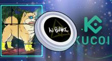 Fracton Protocol Fractionalizes BAKC NFT With hiBAKC Launch On KuCoin