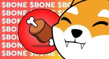 Shiba Inu-Ökosystem-Token BONE steigt um 88 %, zu spät zum Kauf?