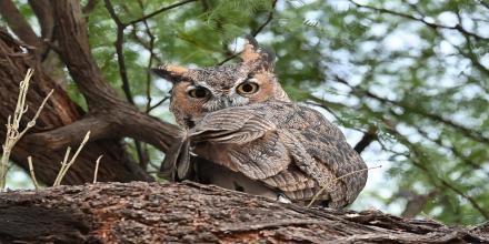 Große Demonstration für bessere Bildung in Bremen: Hunderte Menschen nehmen teil