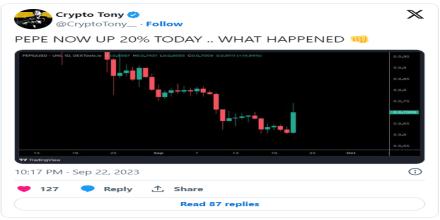 PEPE bir günde yüzde 20 değer kazandı: Rallinin arkasında ne var?
