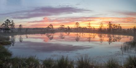 Der Krypto-Sumpf im Baltikum