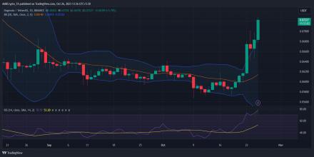 Dogecoin (DOGE), Shiba Inu Rekabetinde Son Durum! Kazanan Kim?