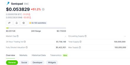 Türklerin Yatırım Yaptığı Altcoin Sert Düştü! Fenomenler Hedefte