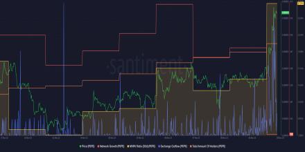 Bu Altcoinde Dev Ralli! Neredeyse Yüzde Yüz Artmıştı! Şimdi Ne Olacak?