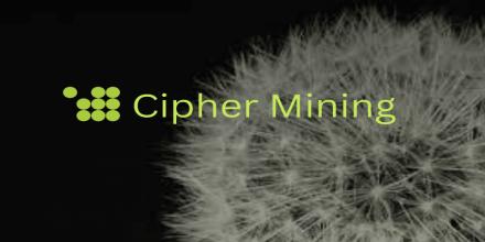 CIPHER Price, Chart, Market Cap, CPR Coin Essentials | CoinLore