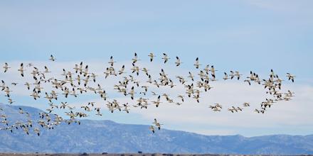 Trendkürzel „DePIN“: Was steckt dahinter?