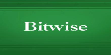 На кошелек Bitwise Bitcoin ETF отправили донаты в форме «надписей»