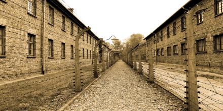 Zusatzfolge: Das Vernichtungslager Sobibor | NDR.de