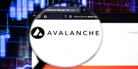 Avalanche Vakfı Yatırım Yaptığı 5 Meme Coin’i Açıkladı!
