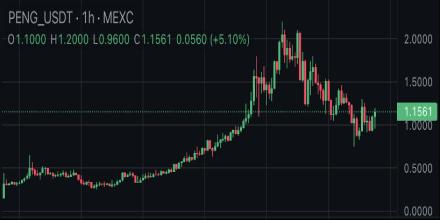 Peng Price, Chart, Market Cap, PENG Coin Essentials | CoinLore