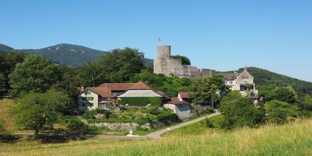 0,03 % des BIP veruntreut: Vietnams Milliarden-Betrügerin vor Hinrichtung